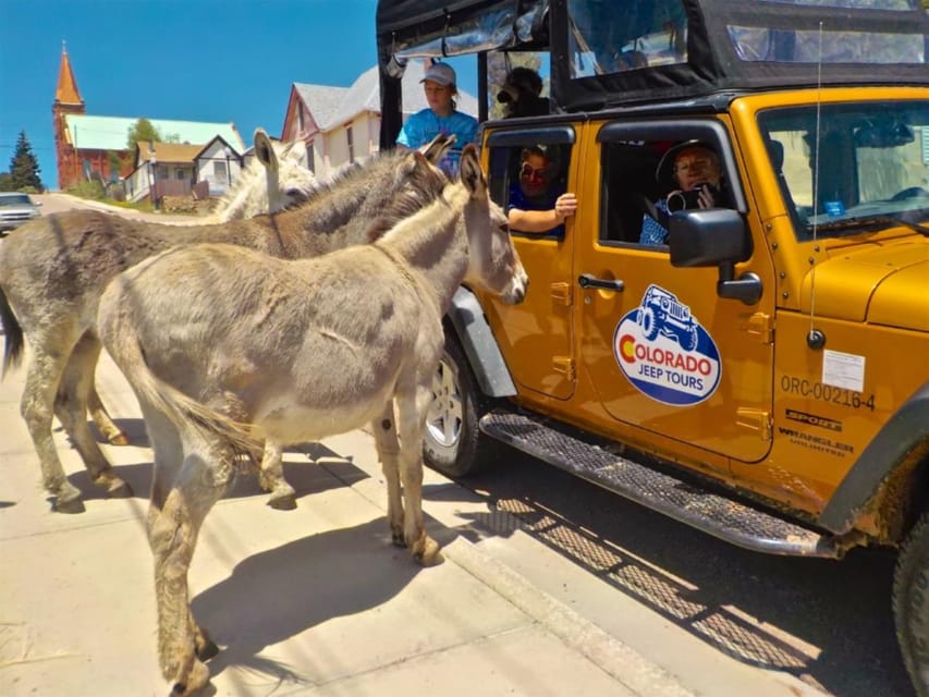 Colorado Jeep Tours - Gold Belt Tour - The Experience on the Ground