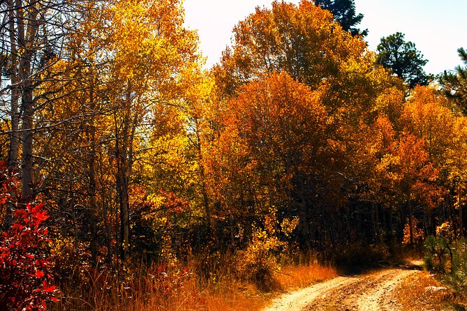 Colorado Peak-to-Peak Tour (Fall-Color-Extravaganza) - Exploring the Itinerary: What You Can Expect