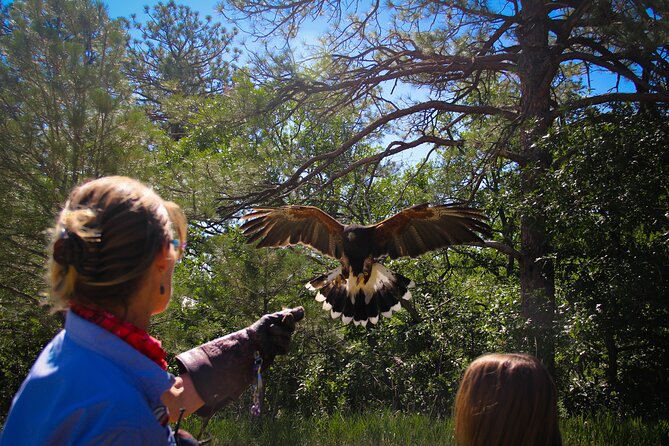 Colorado Springs Hands-On Falconry Class and Demonstration - Why This Tour Is a Must-Do