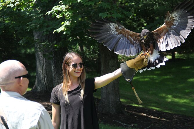 Colorado Springs Hands-On Falconry Class and Demonstration - Final Thoughts: Who Should Consider This Experience?