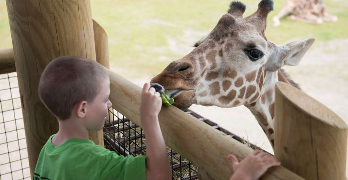 Columbus: Multiple Attractions Pass - An In-Depth Look at What’s Included