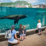 Columbus: Multiple Attractions Pass - What to Expect from the Pass