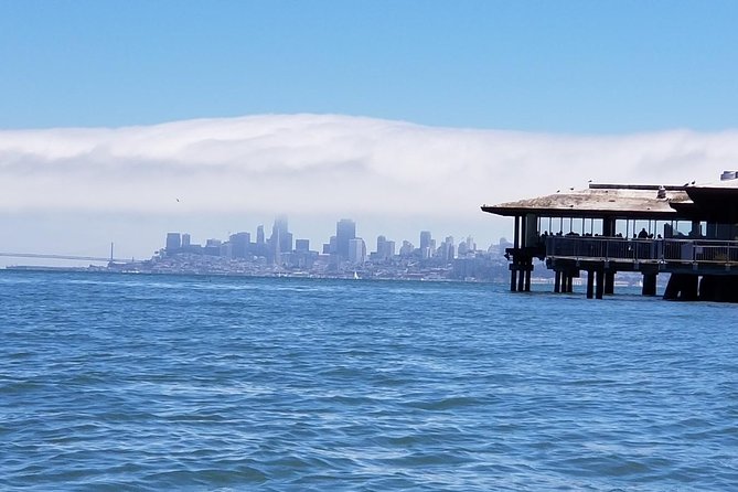 Combo Tour: Muir Woods, Sausalito and Sonoma Wine Country Tour - Final Thoughts