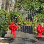 Coming Home For the Holidays - FAQs
