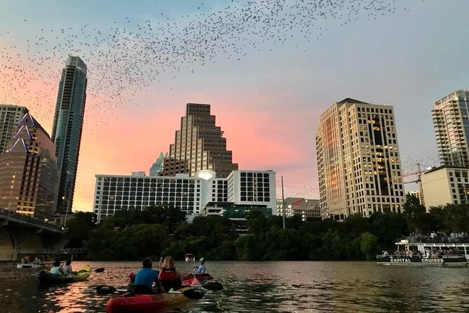 Congress Avenue Bat Bridge Kayak Tour in Austin - The Itinerary: What to Expect on the Water