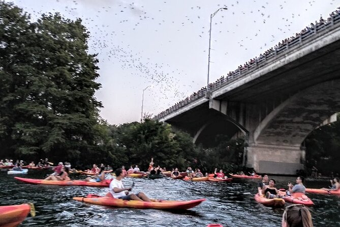 Congress Avenue Bat Bridge Kayak Tour in Austin - The Sum Up: Is This Tour for You?