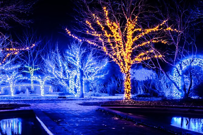 Cookeville Christmas Lights Luxury Tour in the RoadStallion - Key Points