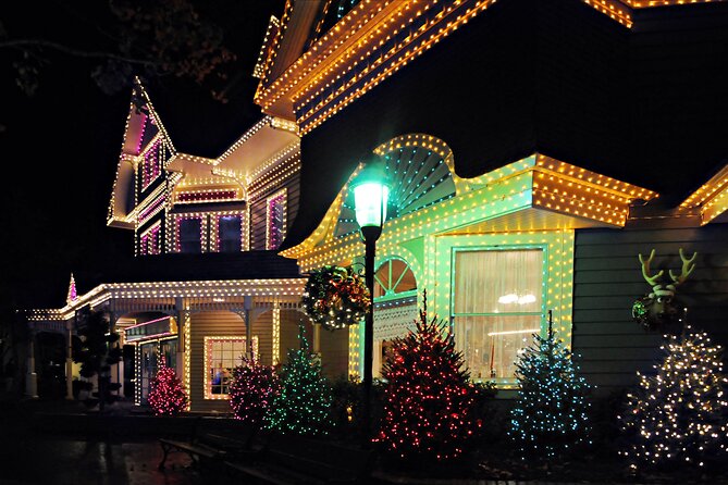 Cookeville Christmas Lights Luxury Tour in the RoadStallion - Next Stop: Dogwood Park’s Towering Christmas Tree