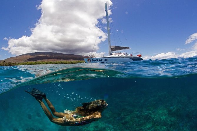 Coral Gardens Coastal Snorkel & Sail - Key Points