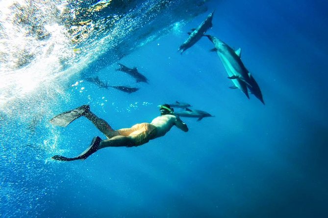Coral Gardens Coastal Snorkel & Sail - Who Will Love This Tour?