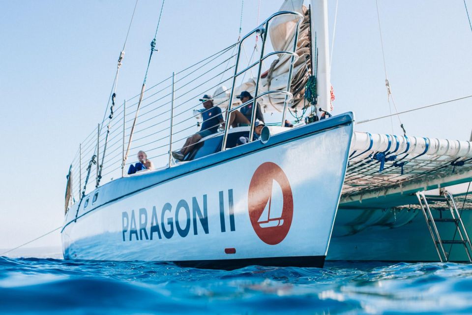 Coral Gardens Snorkel & Whale Watch - Key Points