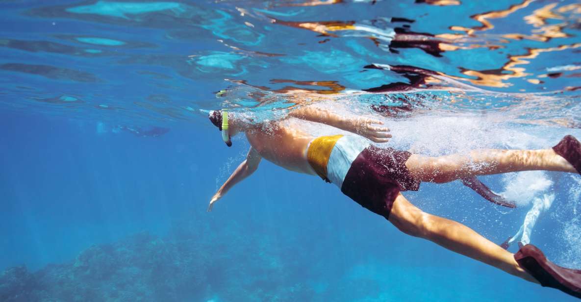Coral Gardens Snorkel & Whale Watch - Why This Tour Is a Great Choice