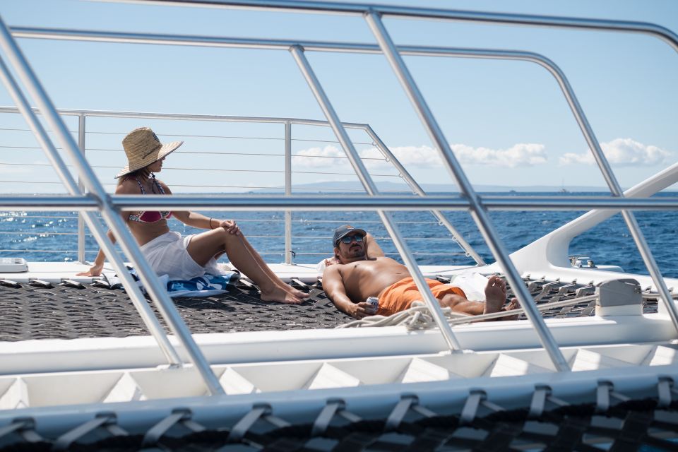 Coral Gardens Snorkel & Whale Watch - Final Thoughts