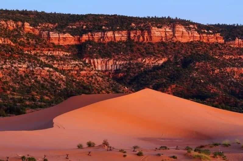 Coral Pink Sand Dunes: UTV Sunset Ride - Key Points