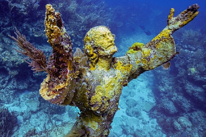 Coral Reef Half Day Snorkel Trip - Exploring the Coral Reef Half Day Snorkel Trip: An Authentic Underwater Adventure