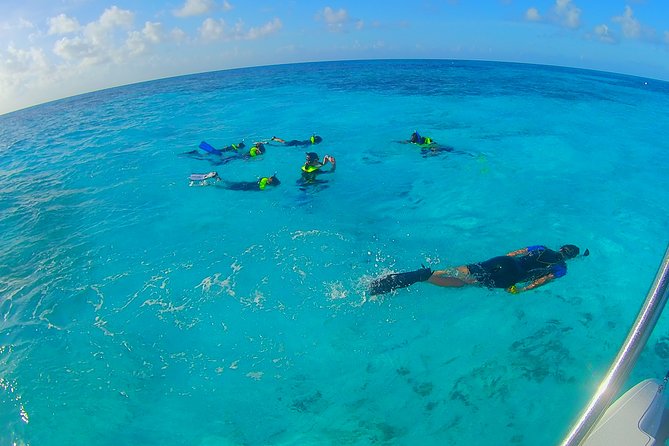 Coral Reef Private Snorkel tour out to John Pennekamp Coral Reef State Park - Key Points