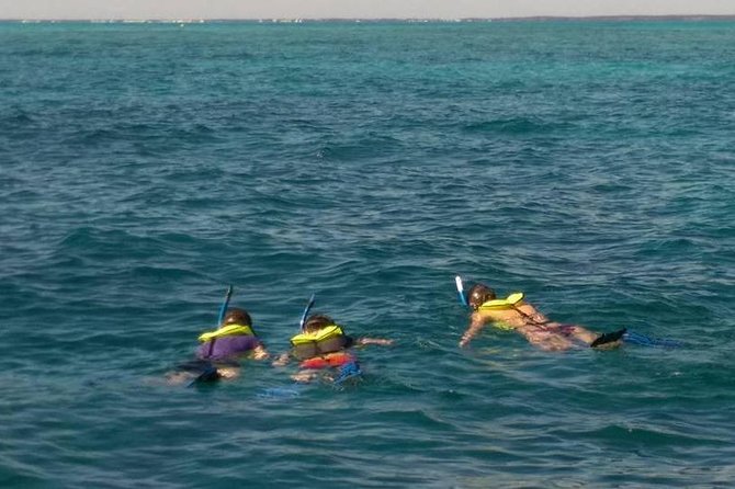 Coral Reef Private Snorkel tour out to John Pennekamp Coral Reef State Park - An In-Depth Look at the Experience
