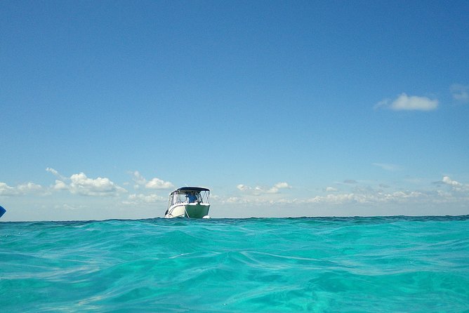 Coral Reef Private Snorkel tour out to John Pennekamp Coral Reef State Park - Overall Impressions & Final Thoughts