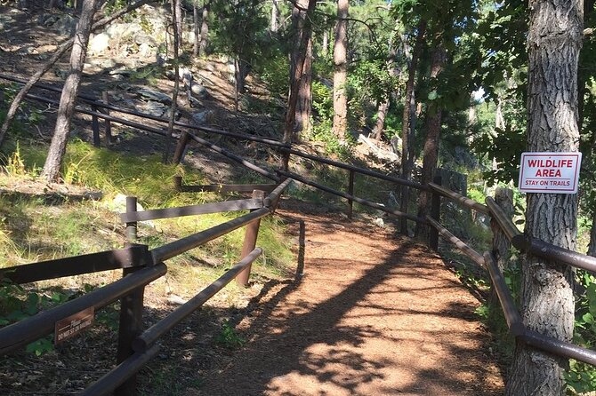 Cosmos Mystery Area Admission - FAQ
