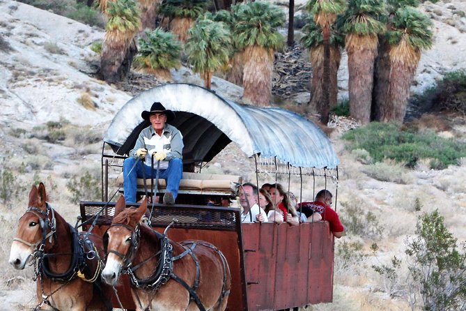 Covered Wagon Adventure & BBQ - Key Points  