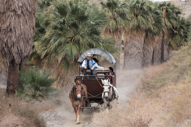 Covered Wagon Adventure & BBQ - Why This Tour Is a Great Value