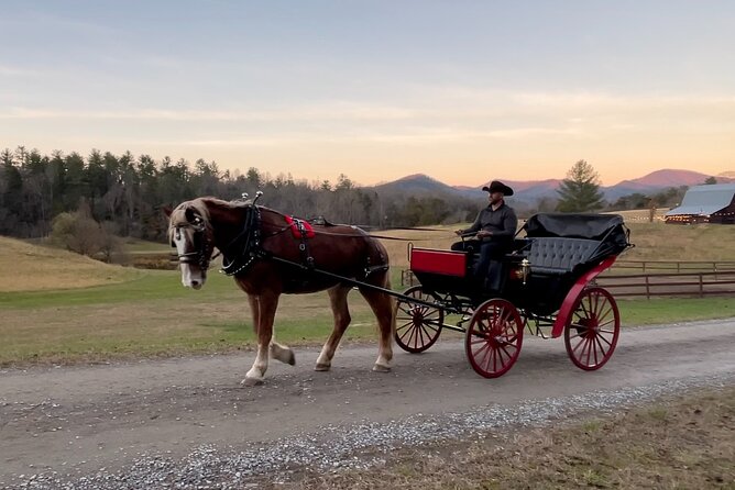 Cozy Farm Experience with Wagon Wheels and Acoustic Meal - FAQ