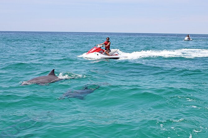 Crab Island Dolphin Jet Ski Adventure - The Experience in Detail
