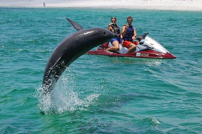 Crab Island Dolphin Jet Ski Adventure - Price and Value Analysis