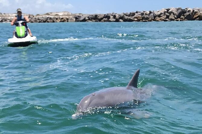 Crab Island Dolphin Jet Ski Adventure - Who This Tour Is Best For