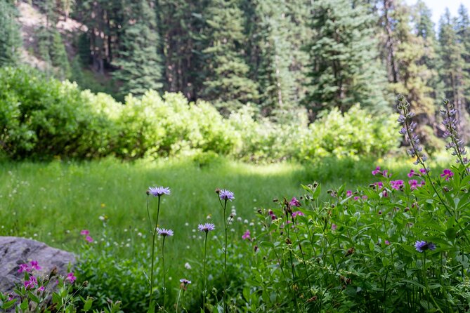 Crater Lake National Park Self-Guided Audio Tour - FAQ