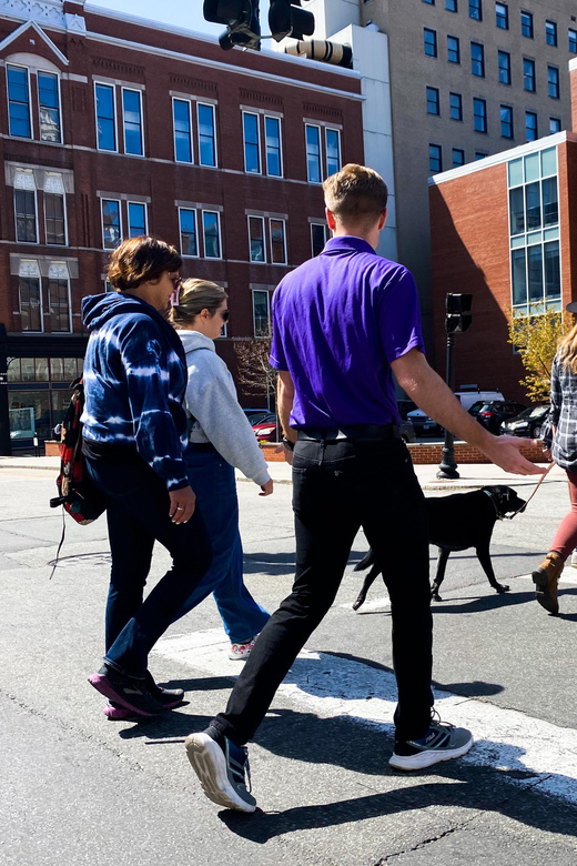 Creative Capital: Art and Architecture Tour of Providence - Who Will Love This Tour?