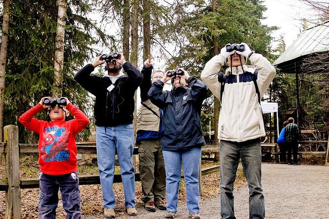 Creative Soul Scavenger Hunt Anchorage on the Tony Knowles Trail - Why This Tour Offers Great Value