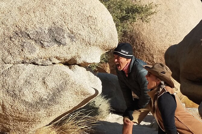 CreativeSoul ScavengerHunt(Hidden Valley,Joshua Tree)Remote Host - An In-Depth Look at the Experience