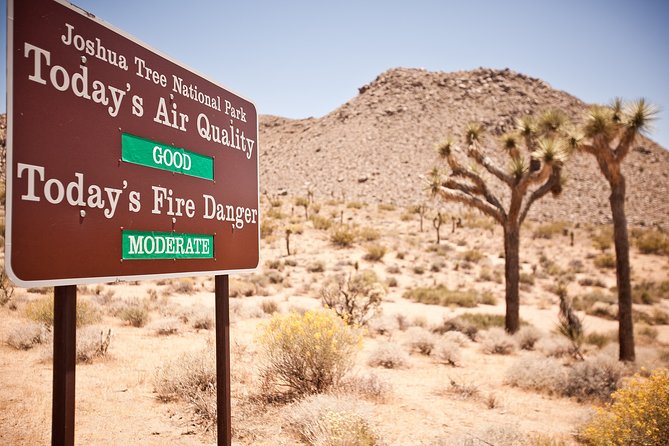 CreativeSoul ScavengerHunt(Hidden Valley,Joshua Tree)Remote Host - Who Will Love This Experience?