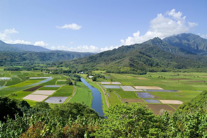 Cruise Ship Shore Excursion: Kauai Movie Sites Tour - Frequently Asked Questions
