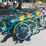 Cruiser Bike Rental at Crandon Park - Final Thoughts