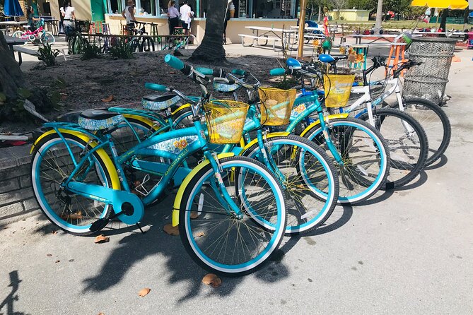 Cruiser Bike Rental at Crandon Park - Final Thoughts