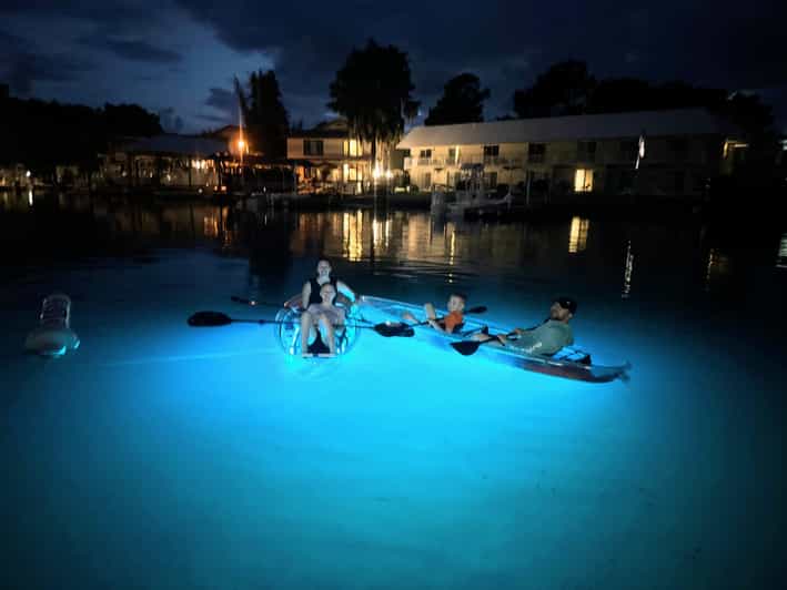 Crystal River Clear Kayak Sunset & Night Glow Tour - An In-Depth Look at the Crystal River Sunset & Night Glow Tour