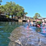 Crystal River: Guided Manatee Snorkeling Tour - What’s Included and What’s Not