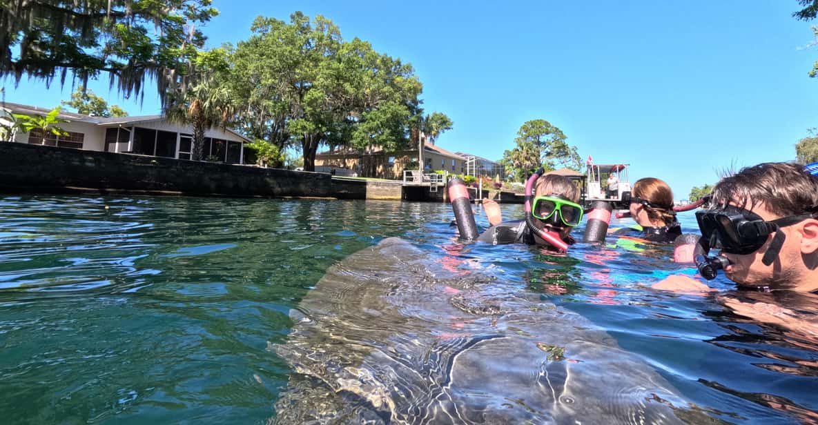 Crystal River: Guided Manatee Snorkeling Tour - What’s Included and What’s Not
