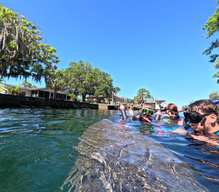 Crystal River: Guided Manatee Snorkeling Tour - The Practicalities: Timing, Booking, and Accessibility