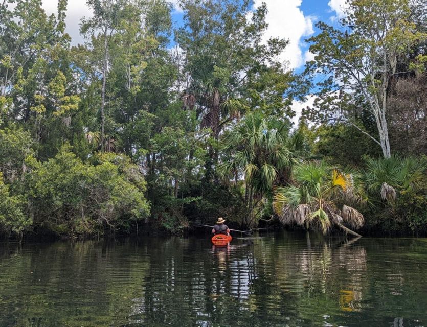 Crystal River: Kayak Rental - What Makes This Kayak Rental Stand Out?