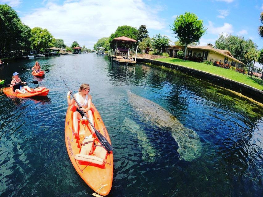 Crystal River: Kayak Rental - Who Will Love This Experience?
