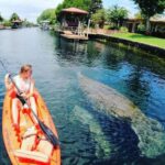 Crystal River: Kayak Rental - Why Its Great Value