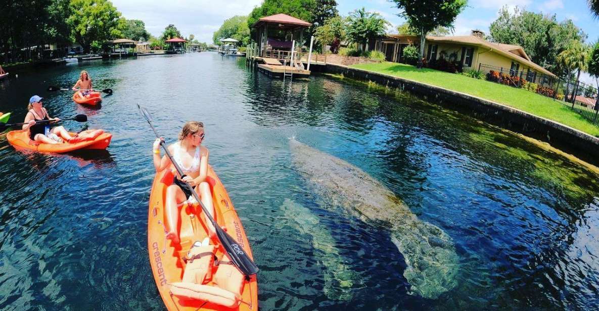 Crystal River: Kayak Rental - Why Its Great Value