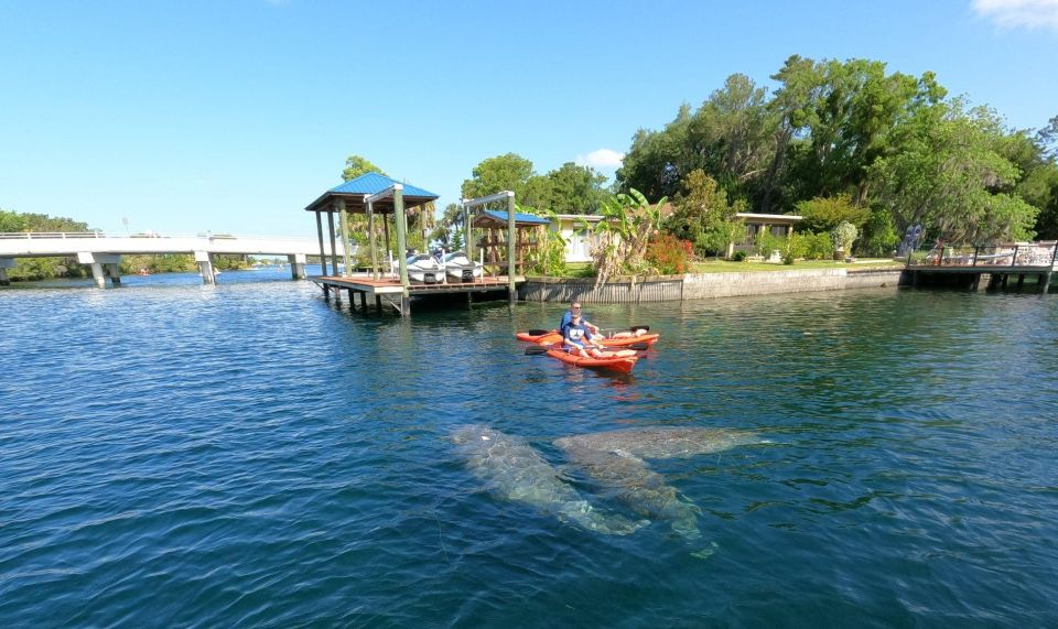 Crystal River: Kayak Rental - Final Thoughts