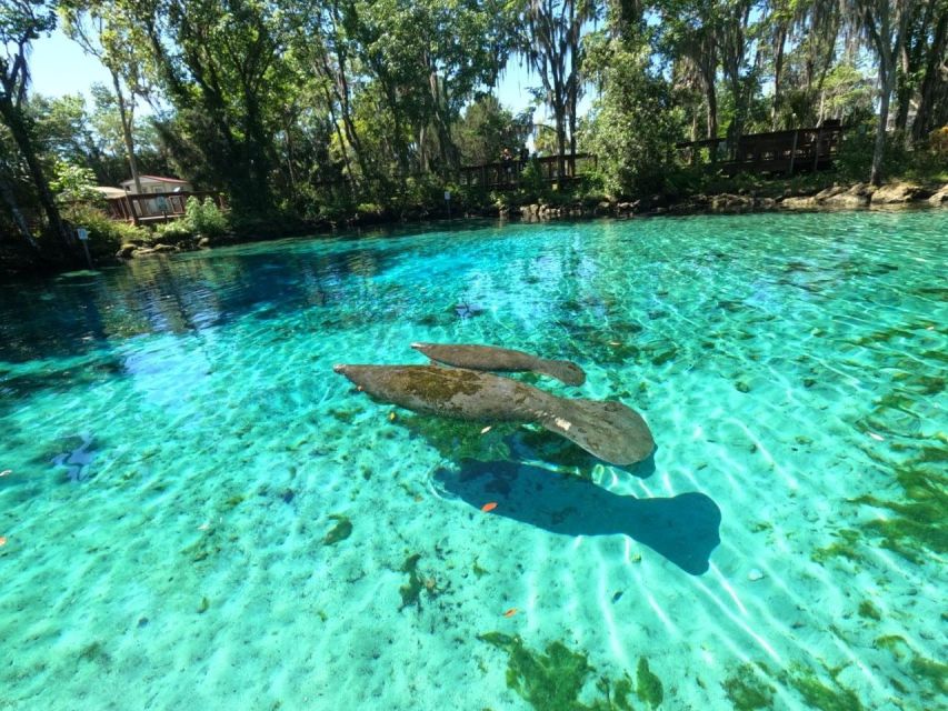 Crystal River: Kayak Rental - FAQ