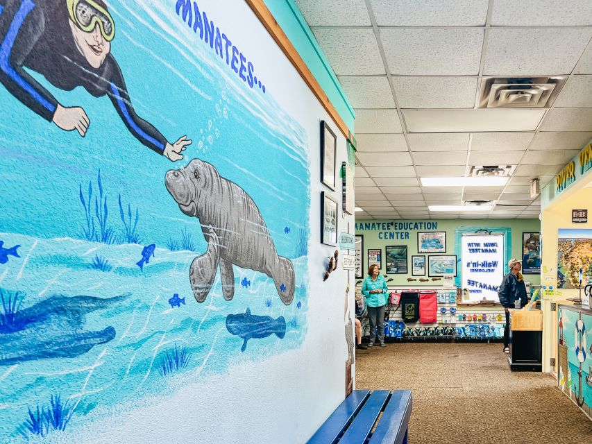 Crystal River: Manatee Snorkel Tour w/ In-Water Photographer - What’s Included & What to Consider