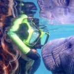 Crystal River: Manatee Swim Group Tour - Practical Details That Matter