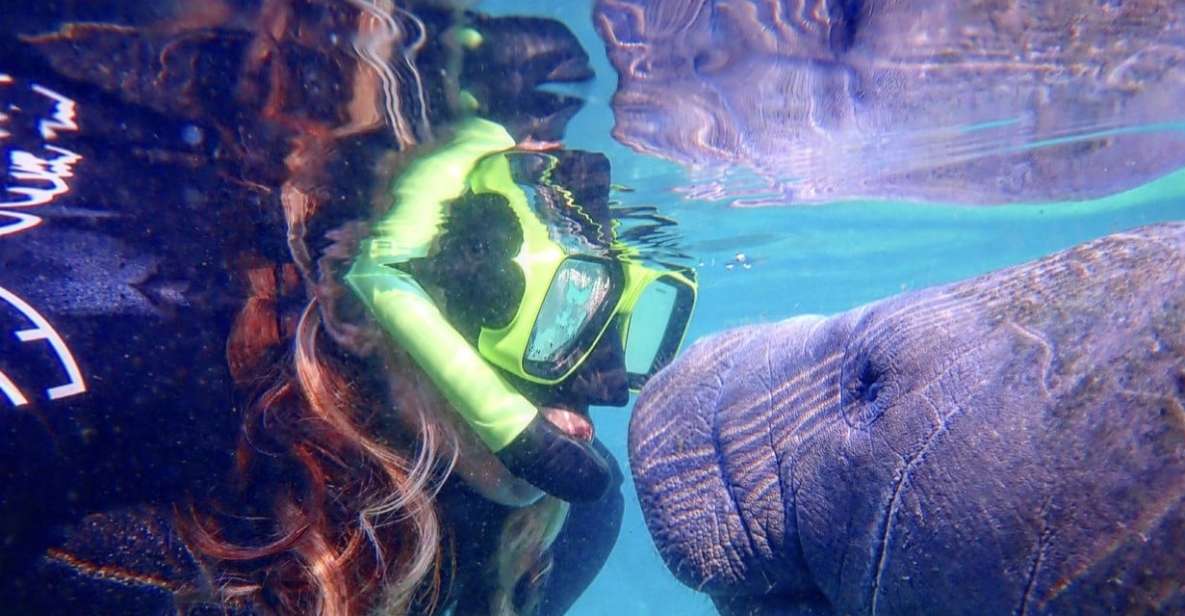 Crystal River: Manatee Swim Group Tour - Practical Details That Matter